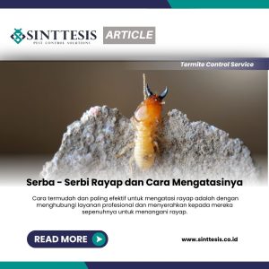 Serba - Serbi Rayap dan Cara Mengatasinya - Sinttesis